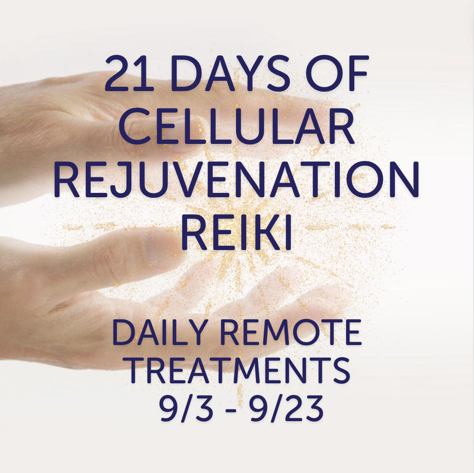 Jamie Butler - The Everyday Medium