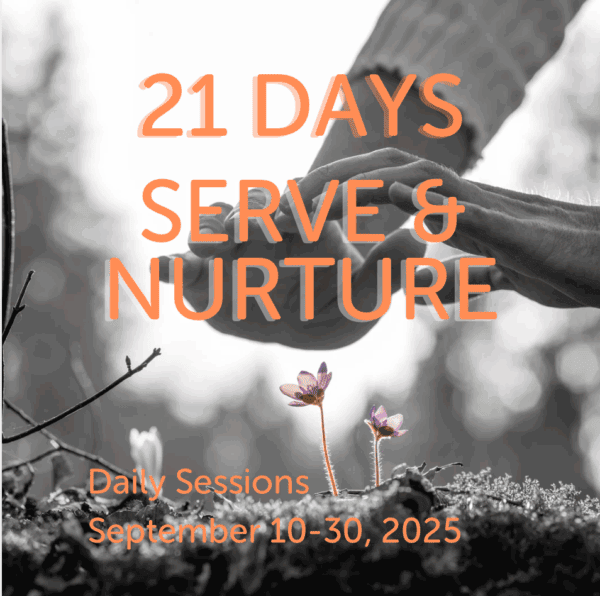 Jamie Butler - The Everyday Medium