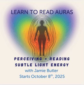 Jamie Butler - The Everyday Medium